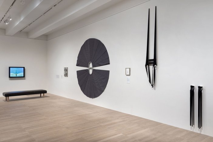 Rebecca Horn, Moveable Shoulder Extensions 1971 | Tate
