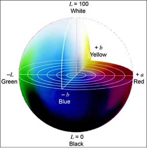 Digitisation: Tina Weidner | Tate