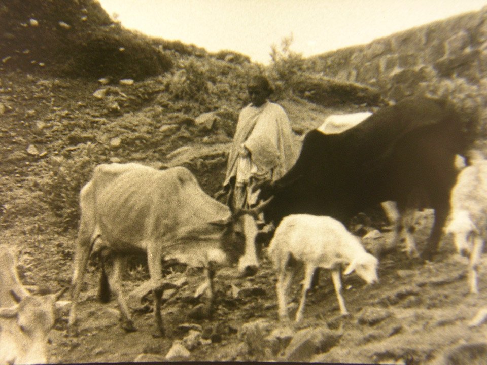 Haile Gerima: Harvest: 3,000 Years – Film at Tate Modern | Tate