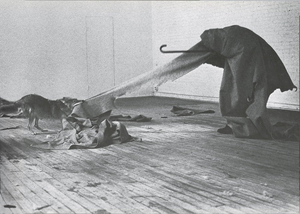 Details, Details: Joseph Beuys's Coyote 1974 – Tate Etc | Tate