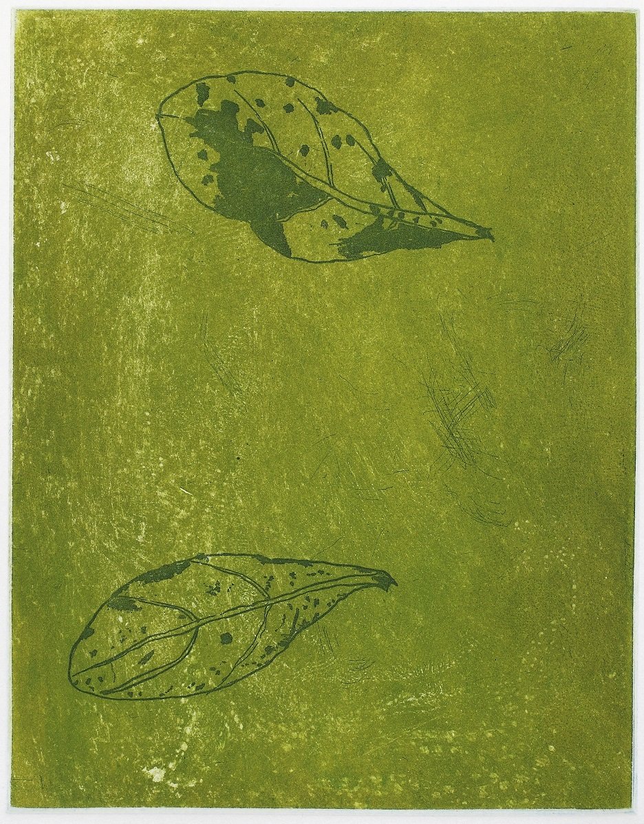 Introducing Judy Watson – Look Closer | Tate