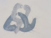 More to meet the eye: Contemporary drawings at Tate – Tate Etc | Tate