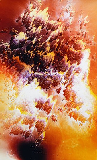 Photogram – Art Term | Tate