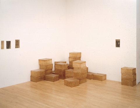 ‘Shibboleth I’, Doris Salcedo, 2007 | Tate